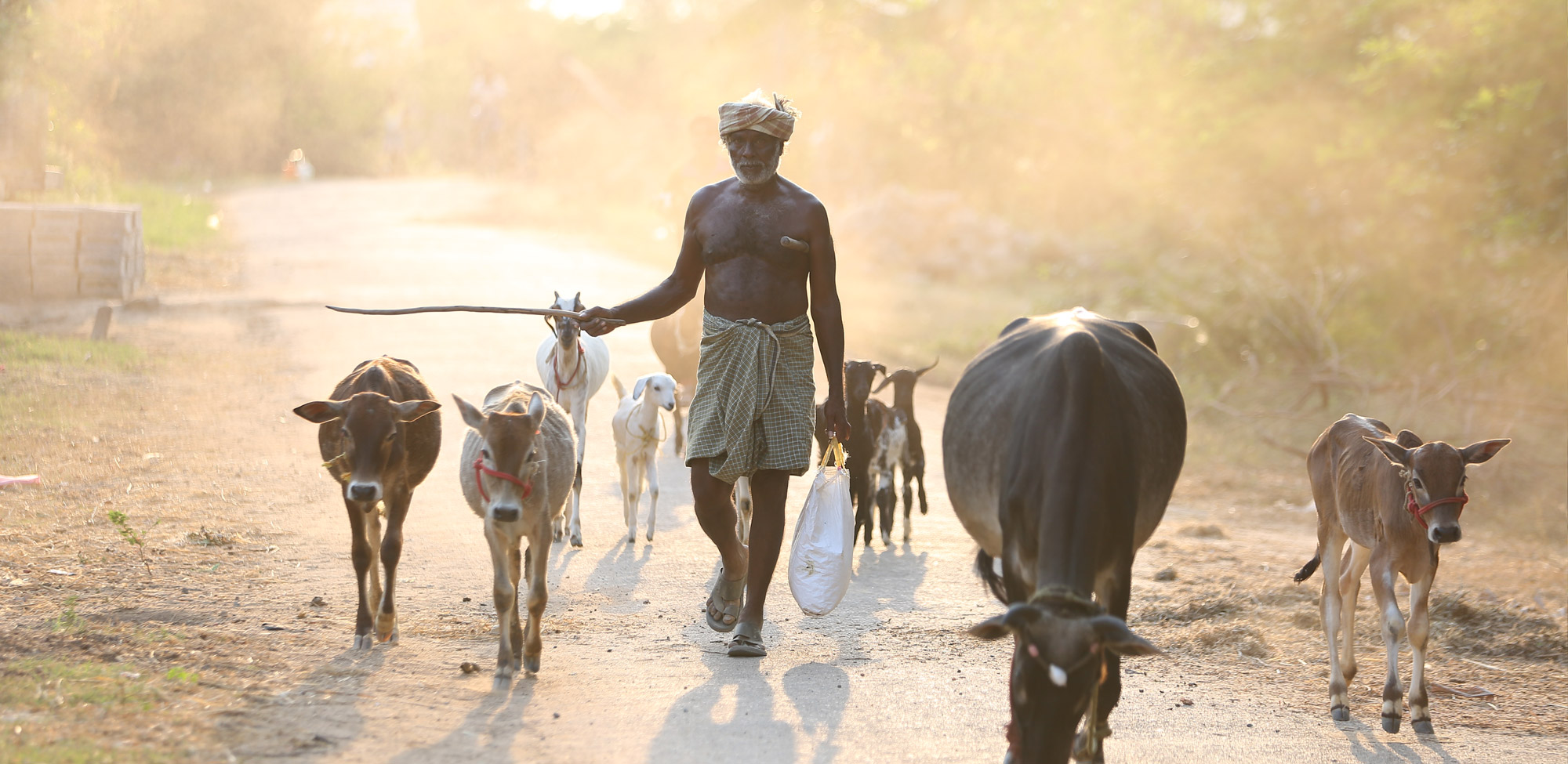 Dvara Surabhi - Dvara E-Dairy